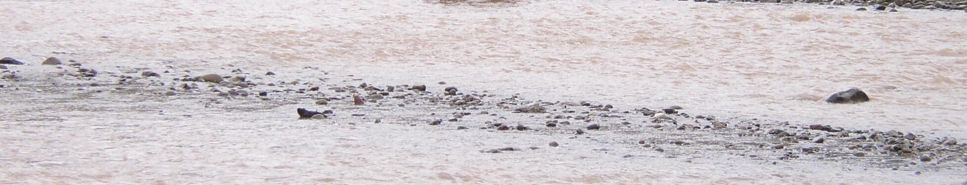 Aman n Lḥayat - Lheḍra n Rebbi s Tmazight n Ghumara